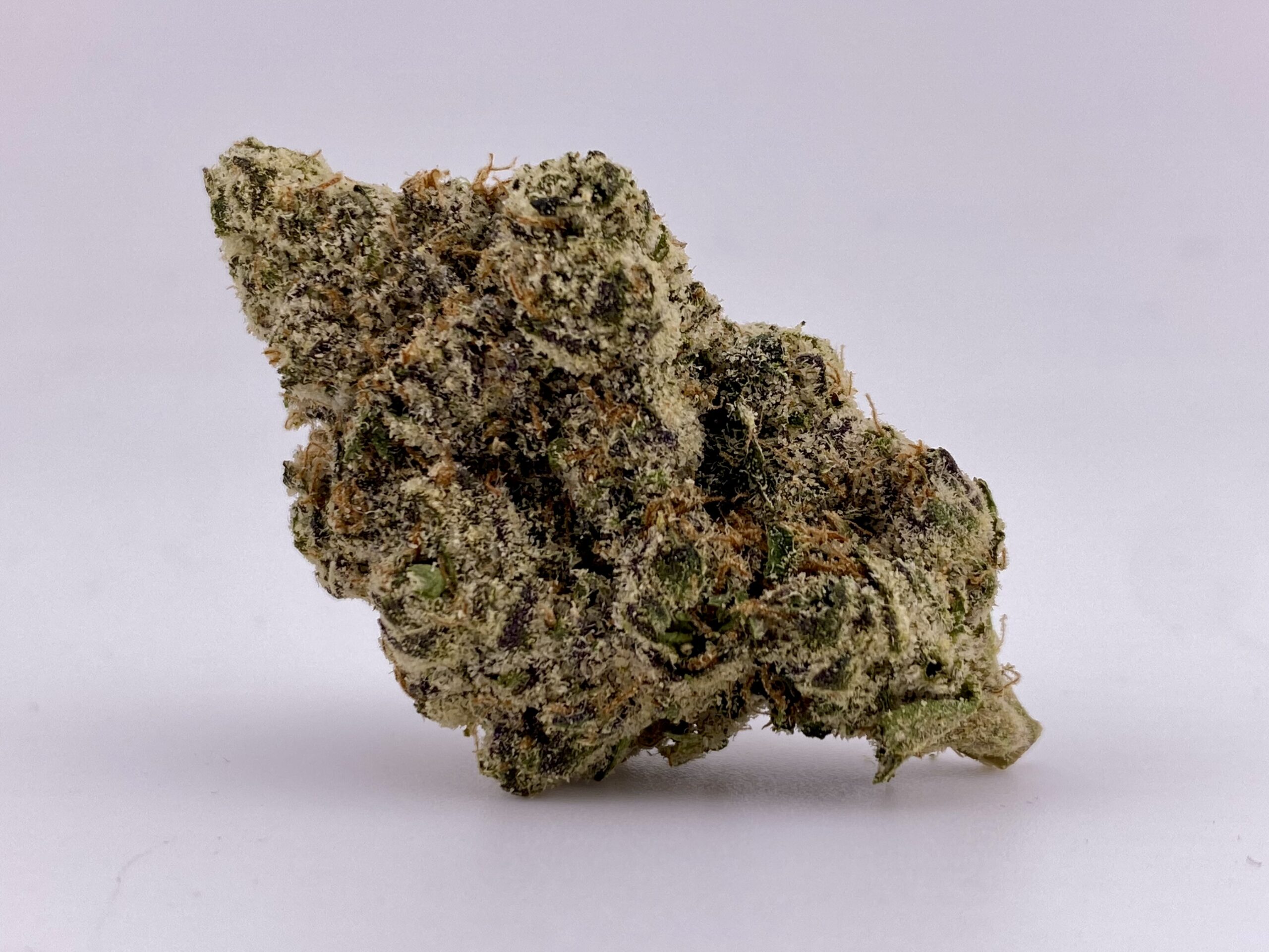 PREMIUM | BLUE RUNTZ | HYBRID – Greenway Express Delivery
